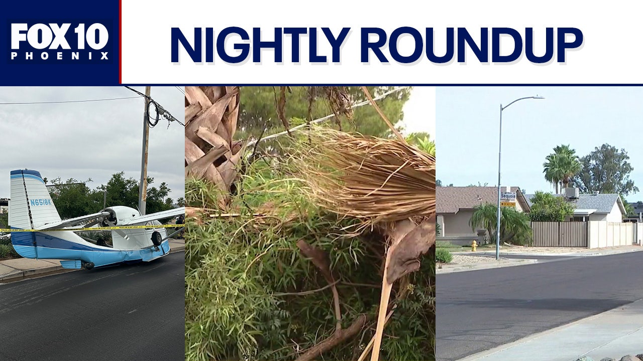 Plane crash-lands in Phoenix; deadly tree trimming accident | Nightly ...