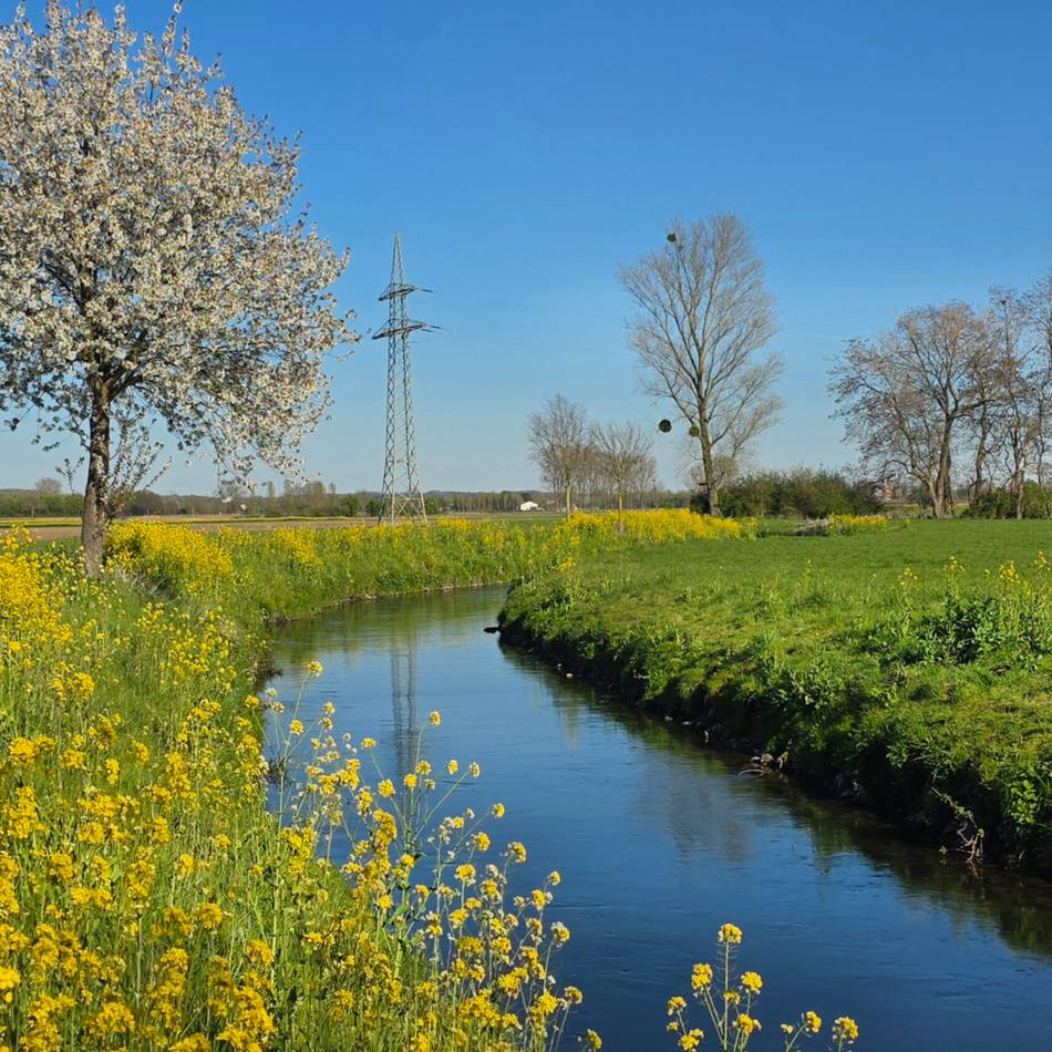 Renaturierung der Wurm – 5,8 Millionen Euro für mehr Natur und ...