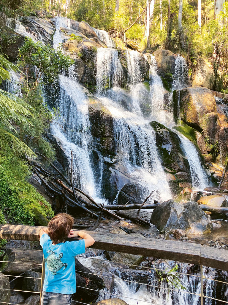 Noojee Trestle Bridge is Gippsland’s best-kept secret