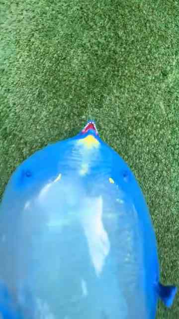 How big will the gorilla stretch toy get?