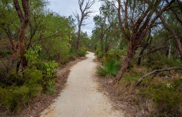 Developers and experts square off over controversial plan to tear down ...