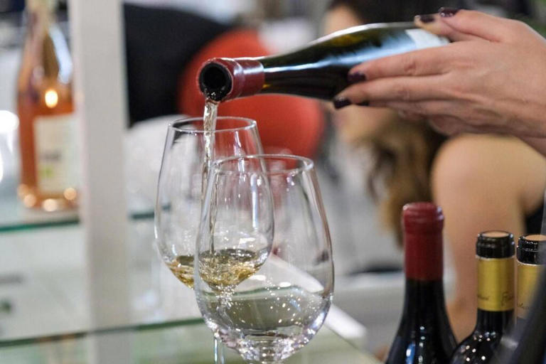 Sette medaglie d’oro per il vino di Frascati: i Castelli Romani ...