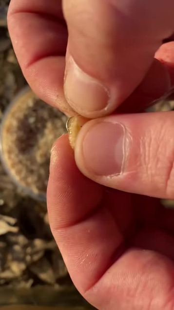 The fishing style that turns simple trips into big catches