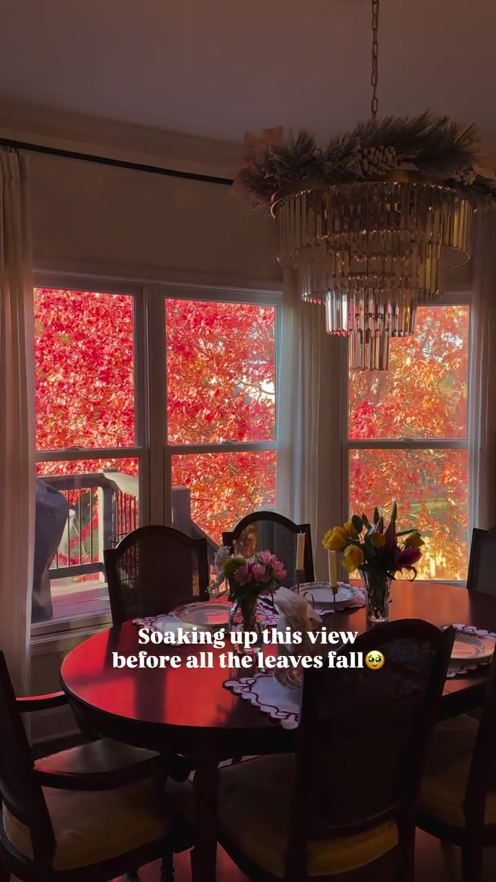 Vibrant autumn landscape viewed through residential window