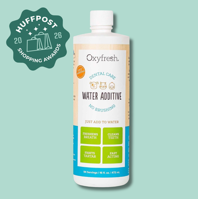 These 10 award-winning pet products are the best thing you’ll buy your ...