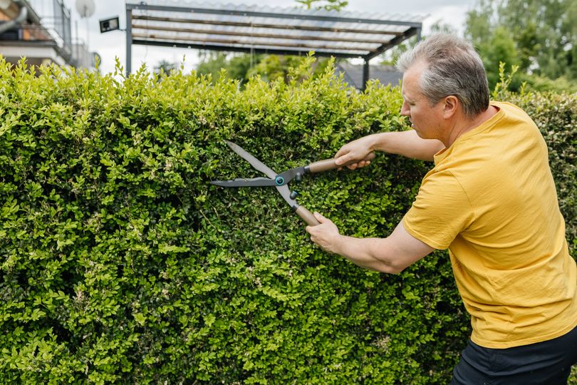 Homeowners warned '2 metre garden rule' could land £1,000 fine