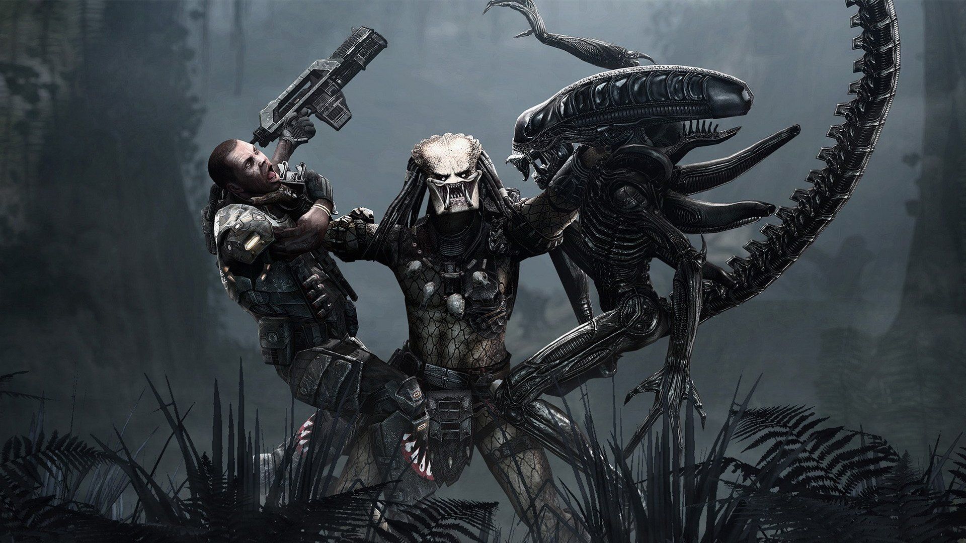 Alien vs. Predator is a streaming hit (will there be a reboot?)