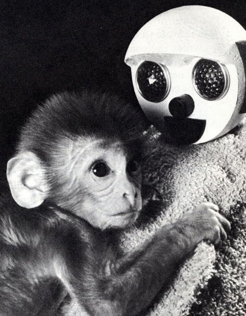 The 20 worst & strangest psychological experiments ever conducted