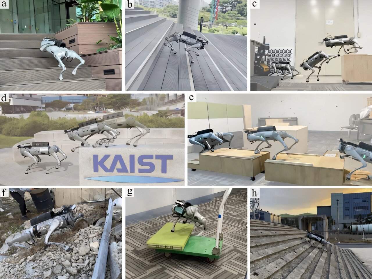 This robot sees danger, decides its route and powers over obstacles ...
