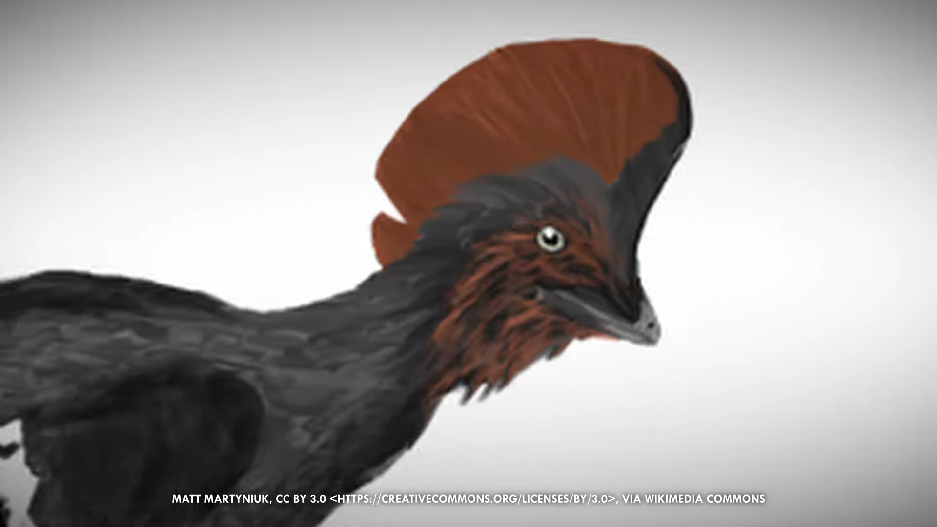 Watch what happens when the rarest fossils start rewriting dinosaur history