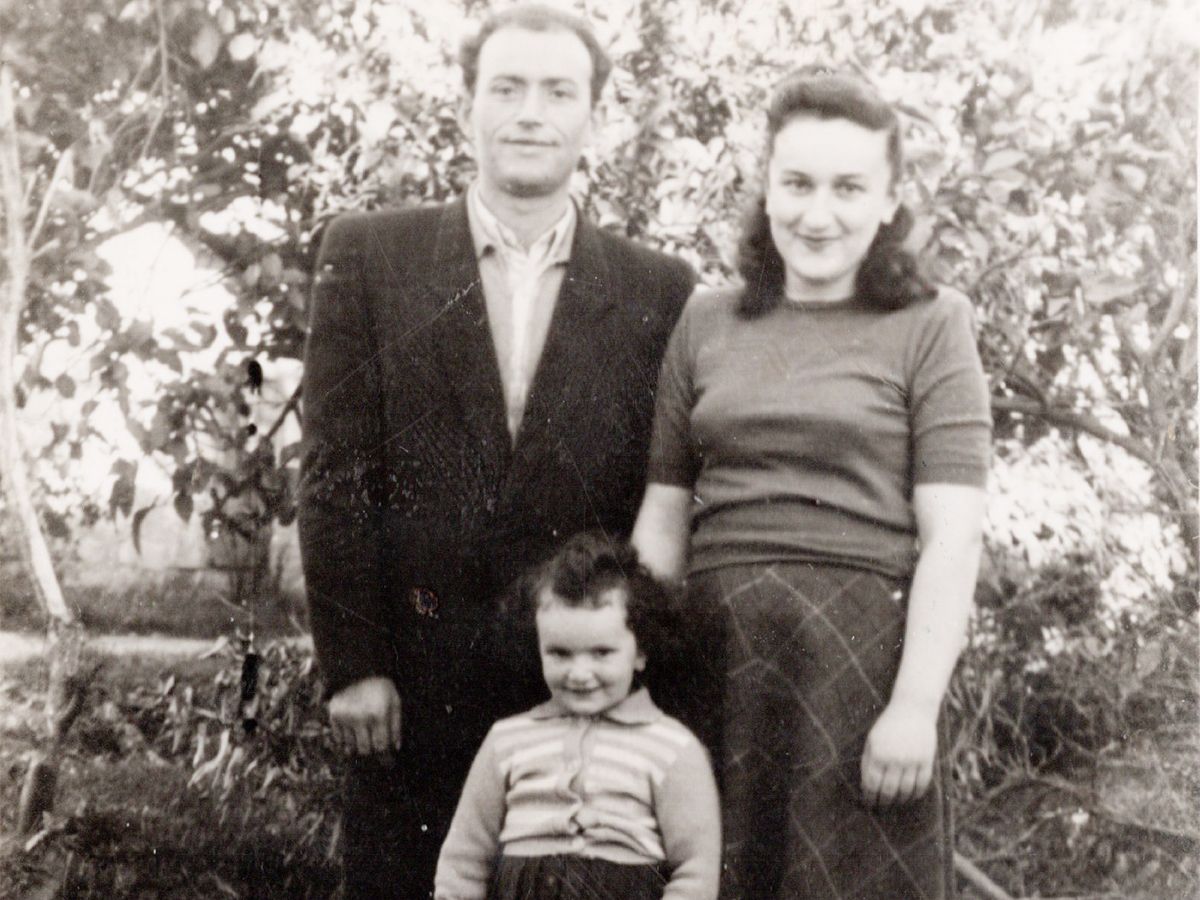 Jack Jedwab: The nefarious attempt to rewrite the history of Jewish ...