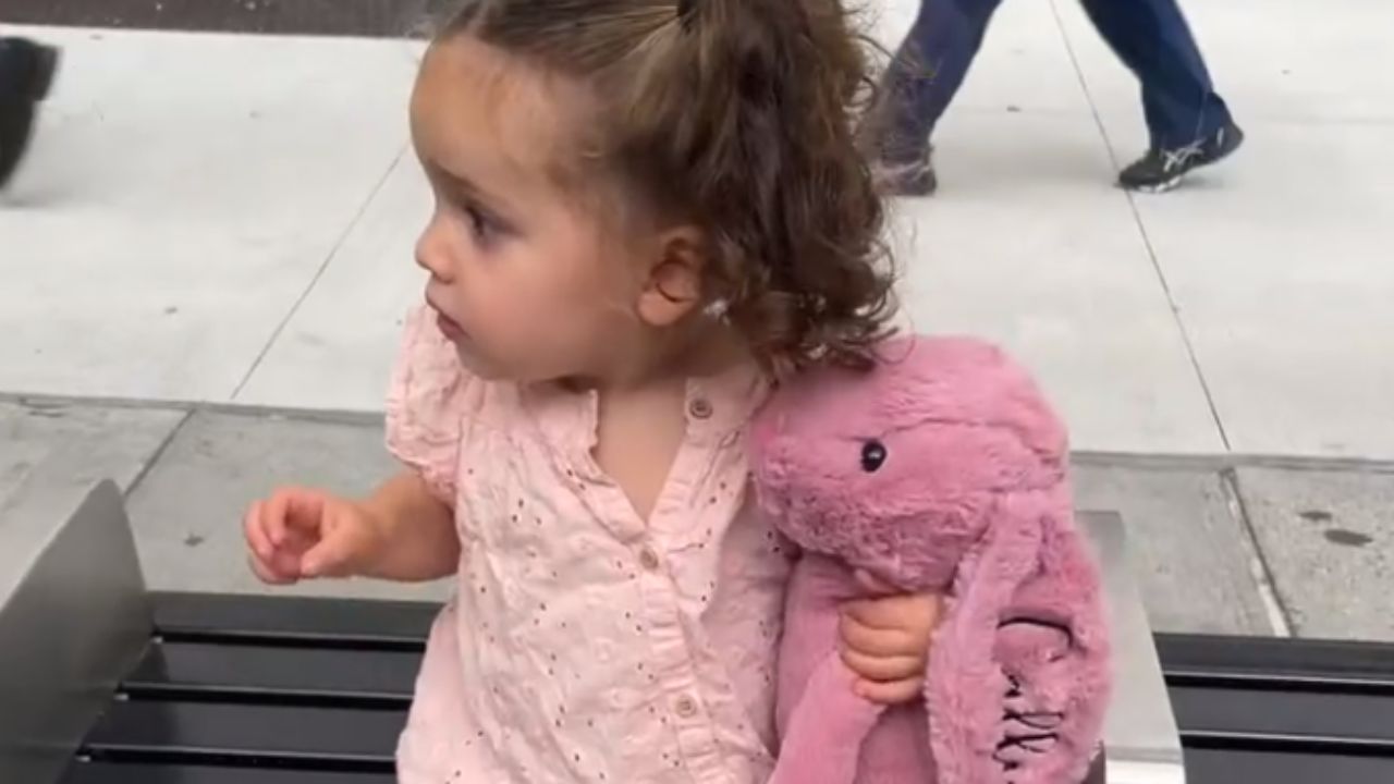 Precious girl and her bunny best friend wait for 'big bus' to take them ...