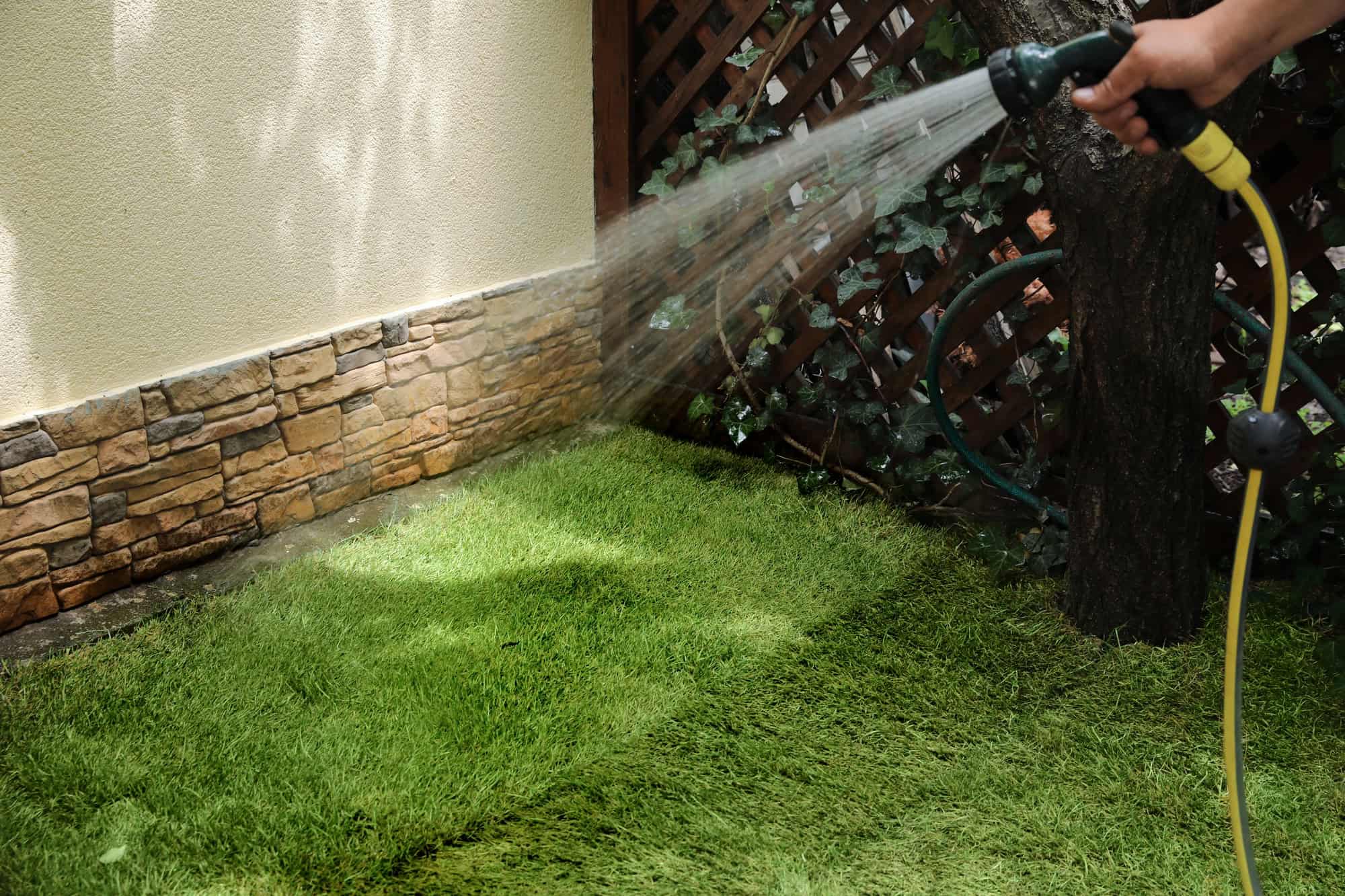 Why watering new turf correctly is so important