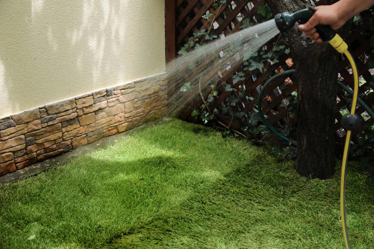 Why watering new turf correctly is so important