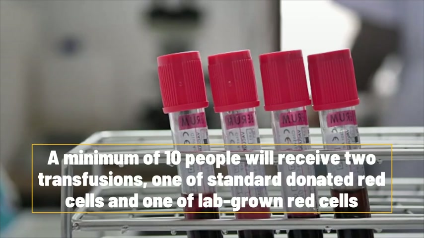 Lab-grown blood given to people in world-first clinical trial
