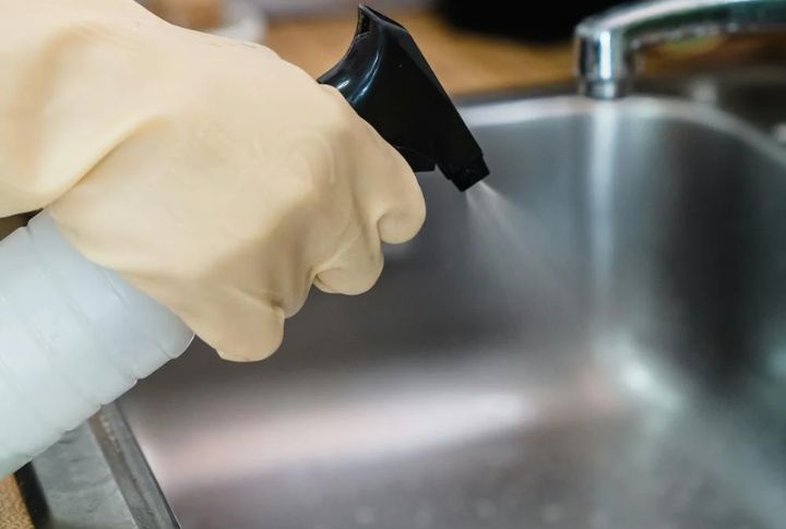 10 effective solutions for a gnat-free home