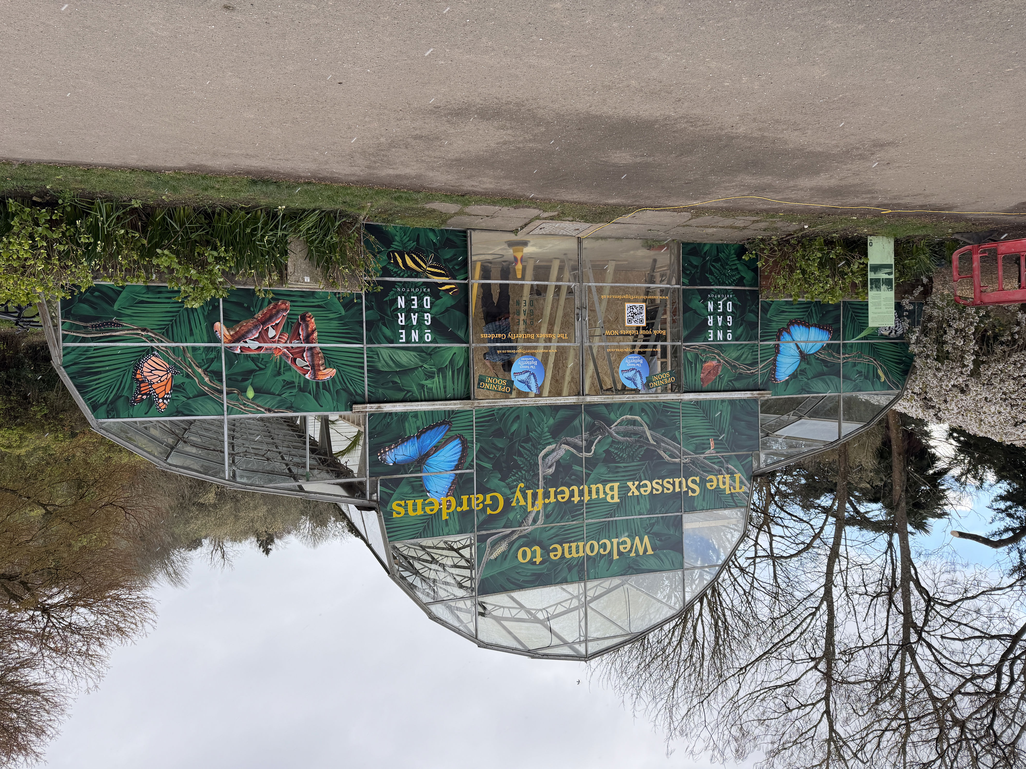 Sussex ‘all of a flutter’ as new butterfly gardens open at One Garden ...