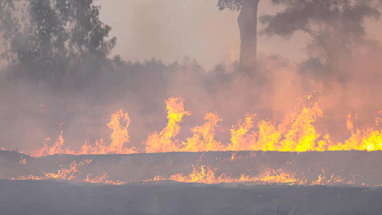 Critical fire conditions in 9 states, 55 mph winds and low humidity ...