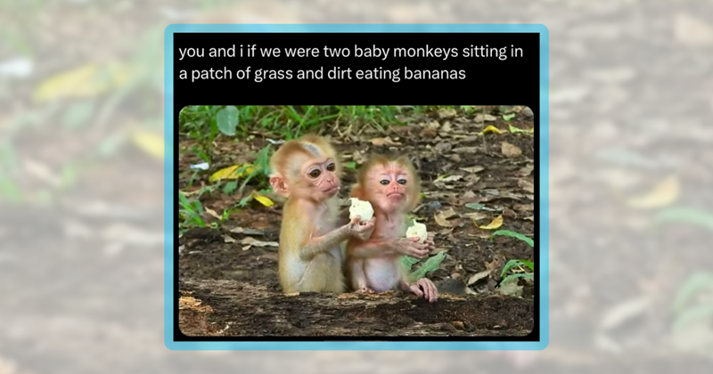 20+ monkey mischief memes for when your day is bananas