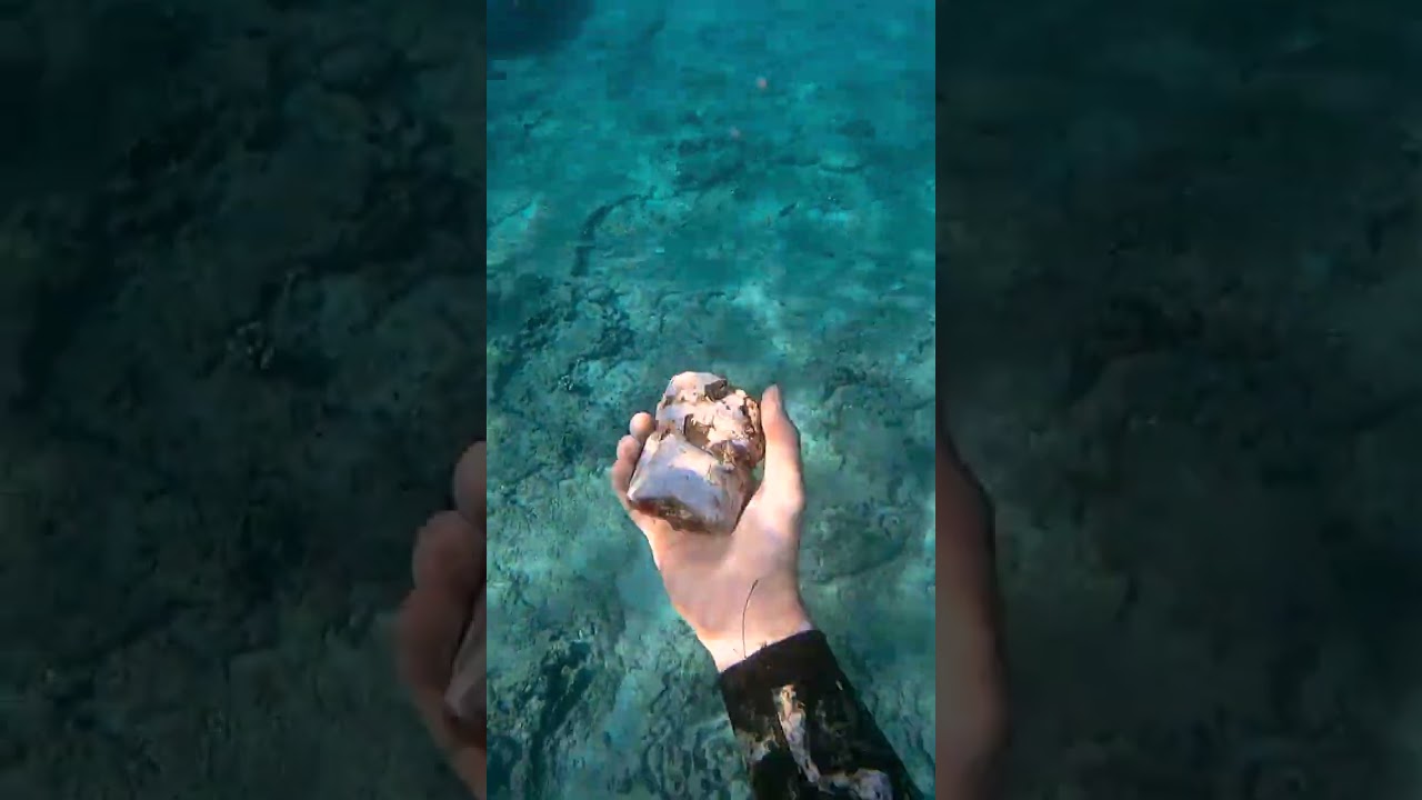 Man can't believe what he found underwater