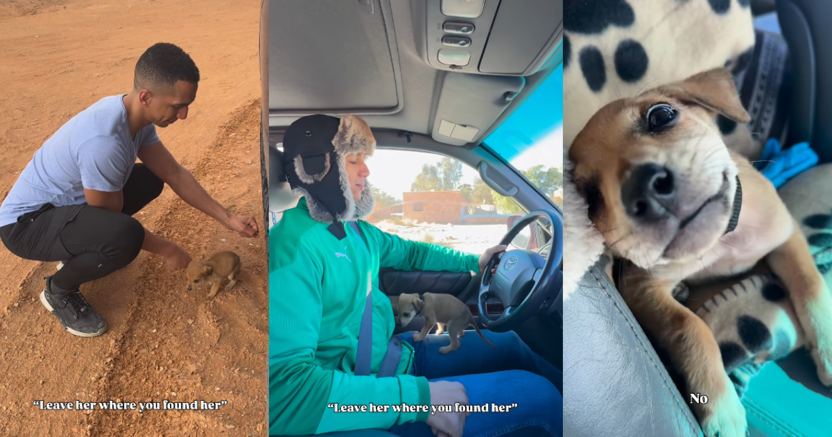 Rescue puppy becomes the reason owners' lives are even better now