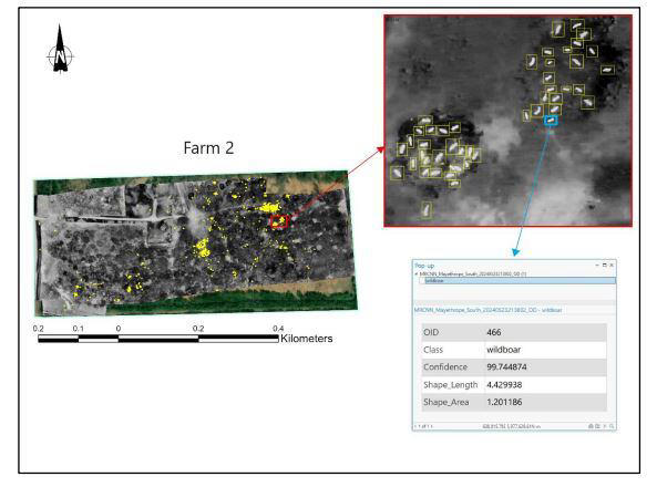 Alberta testing AI-powered drone technology in battle against wild boar