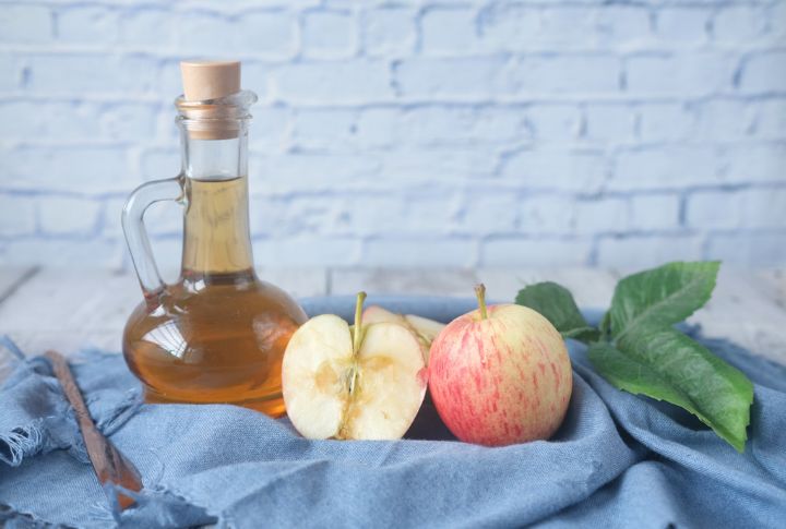 10 effective solutions for a gnat-free home