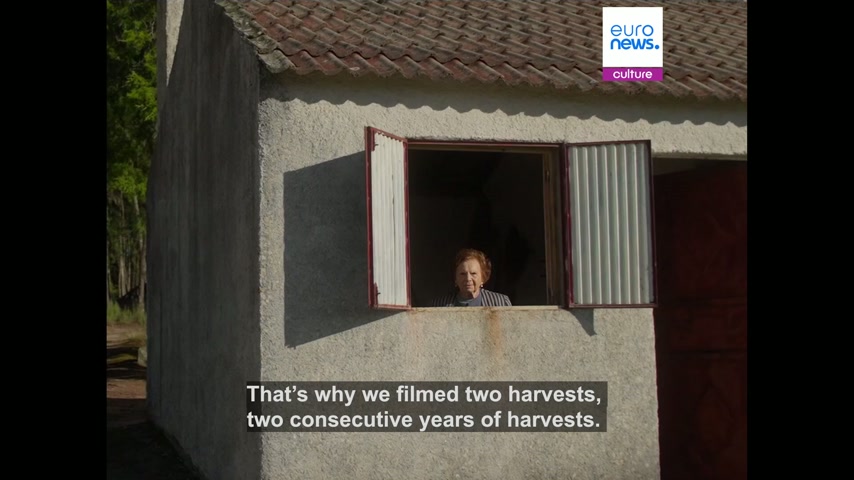 'What house are you from?': A daughter's take on her mother's exile ...