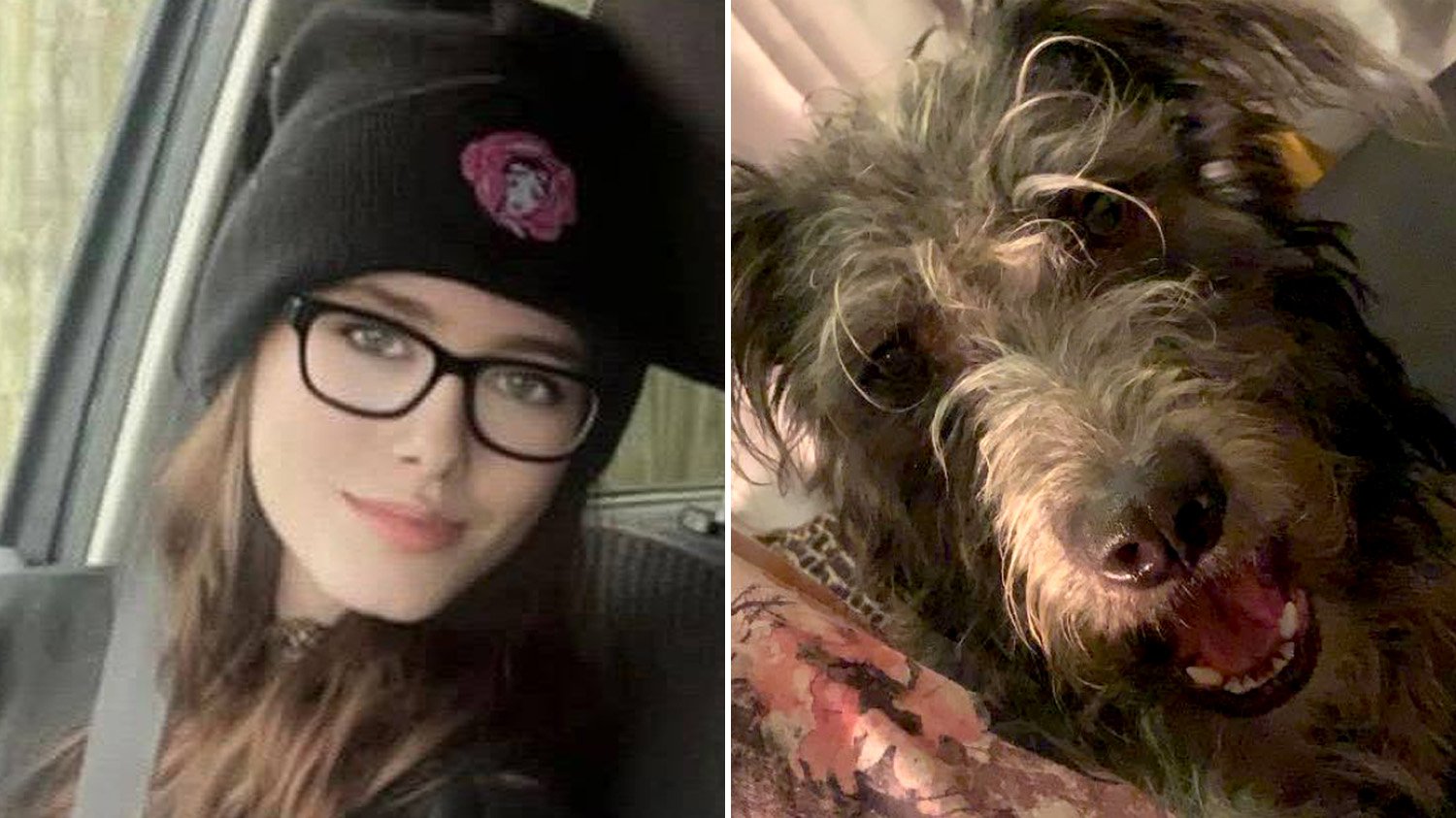 Dog that fatally bit teenager on the neck pictured