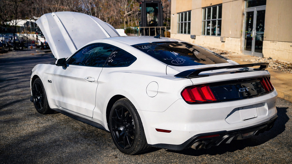 What surprise was found inside this car?