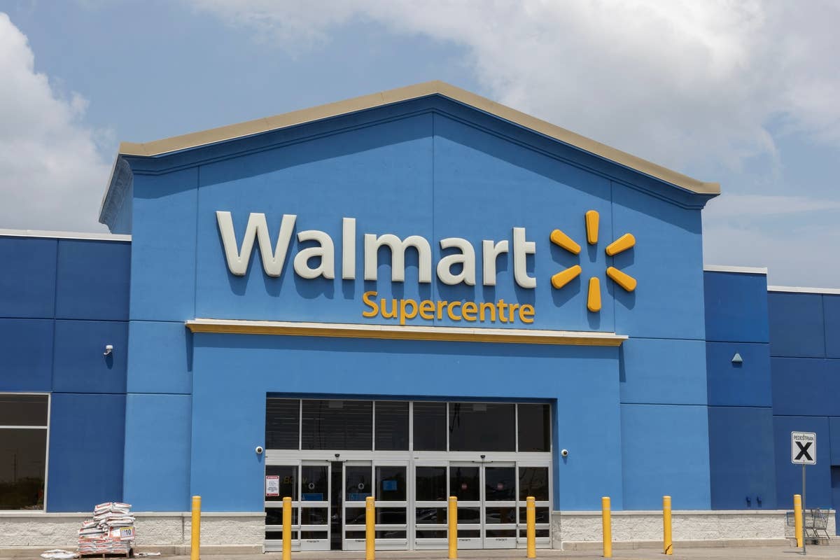 Walmart's clever window catio lets kitties explore from the safety of ...