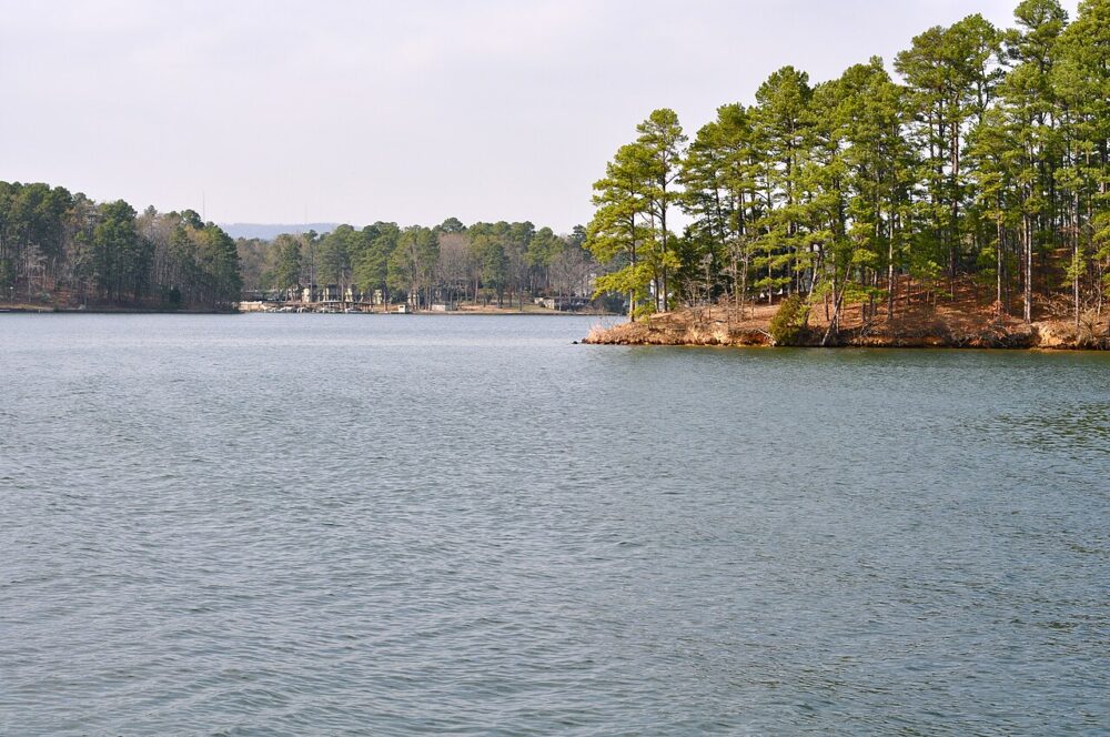 17 Arkansas nature trips with lake views, forest roads, and easy hikes