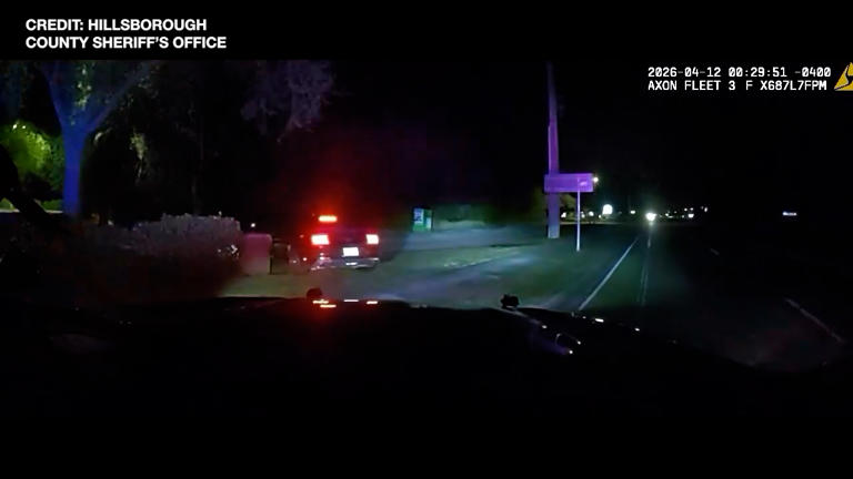 Watch: ‘Wrong-way driver’ goes over median before arrest in Westchase ...
