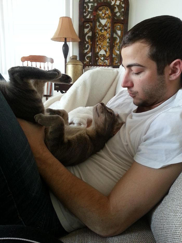 30 adorable photos of cat dads and their furry friends