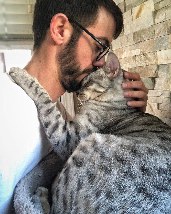 30 adorable photos of cat dads and their furry friends