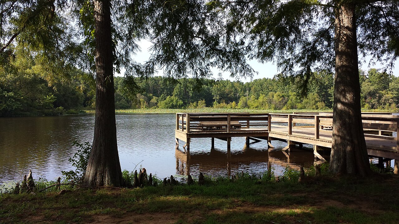 17 Arkansas nature trips with lake views, forest roads, and easy hikes