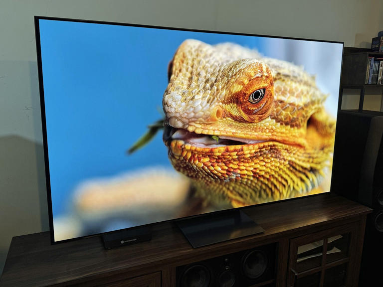 The best OLED TVs of 2026