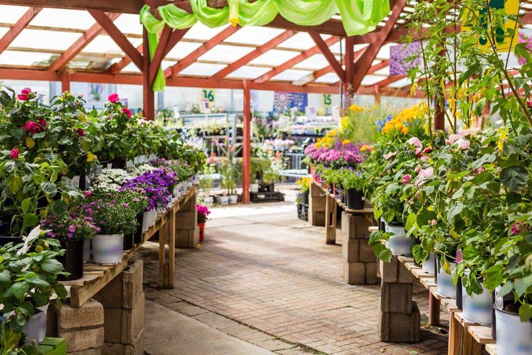 UK garden centre collapses into administration – family business since 1997