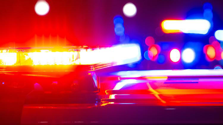 Fremont police: Suspect arrested after intentionally hitting 2 people ...
