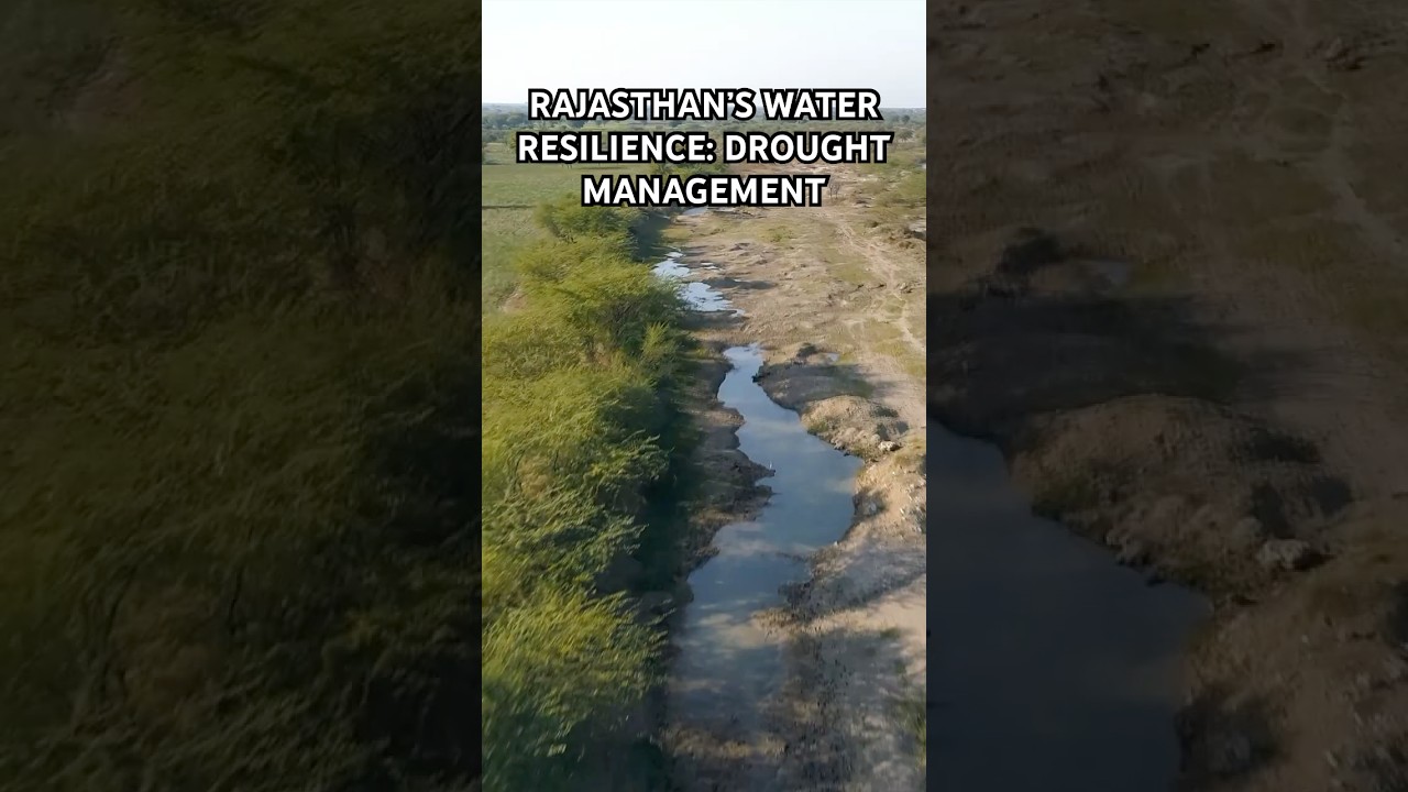 I discovered the water miracle in Rajasthan 🌊