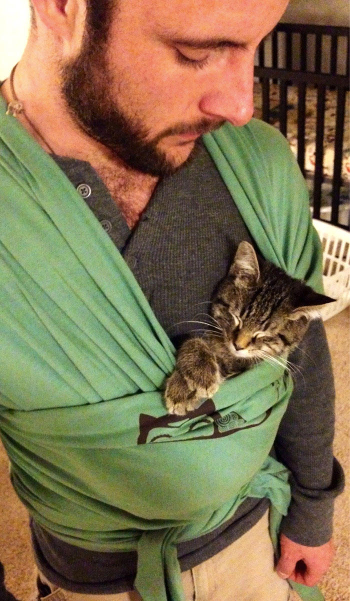 30 adorable photos of cat dads and their furry friends
