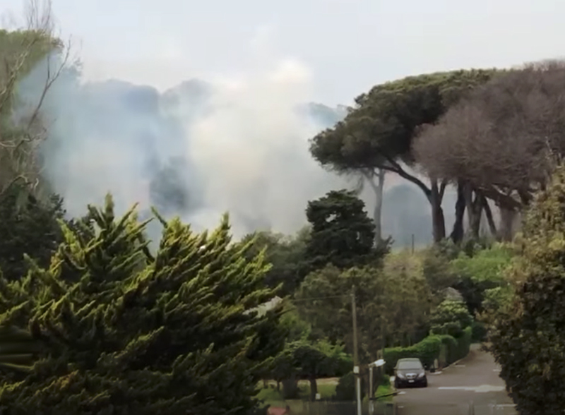 Incendio nella Pineta delle Acque Rosse: paura per le fiamme e il denso ...