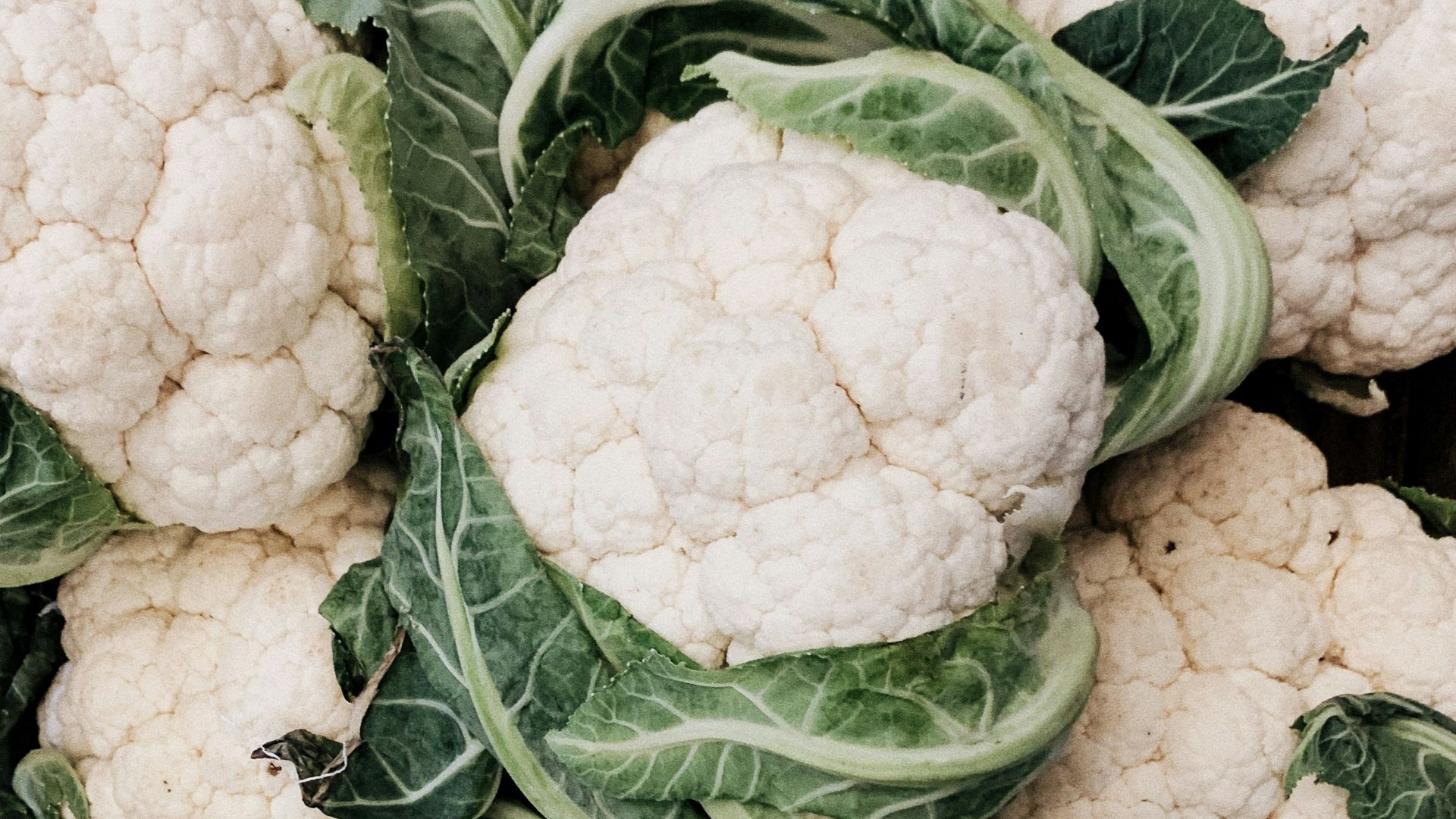 20 aliments bons pour les reins destinés aux personnes âgées souffrant ...