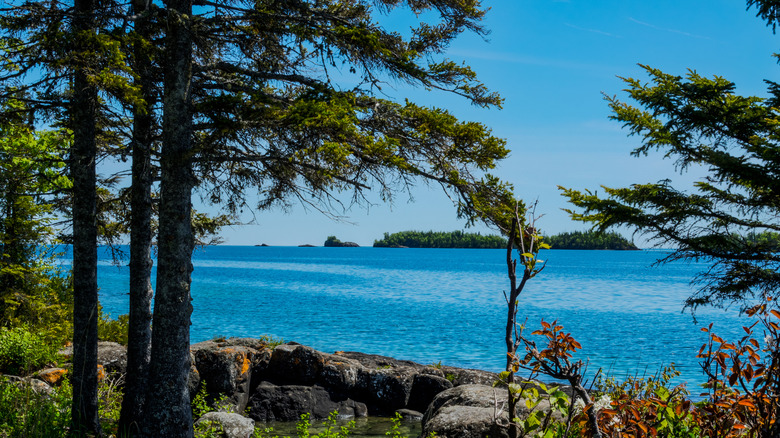 Michigan's best national parks and sites offer sand dune surfing ...