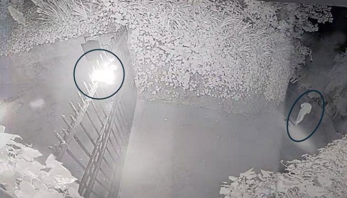 Suspect in Molotov cocktail attack at OpenAI CEO's house charged with ...