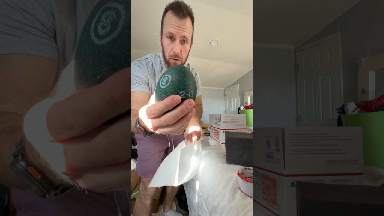 I’ll show you how to ship an emu egg safely