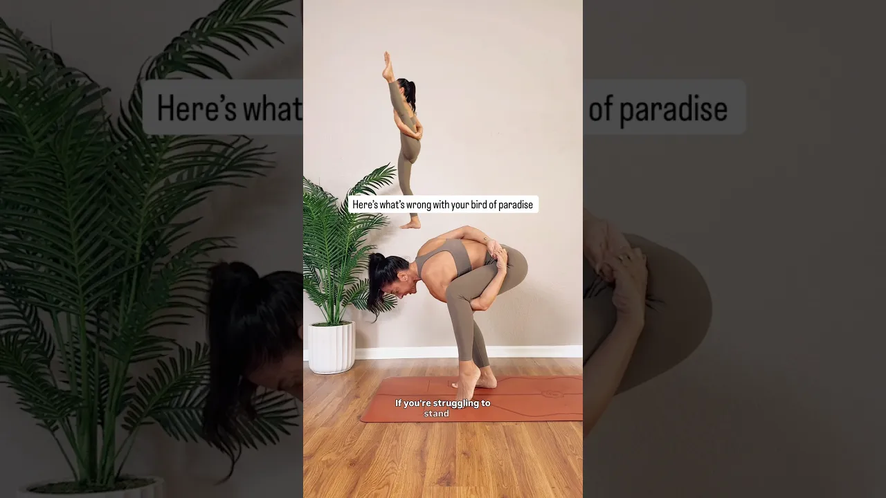 Get your bird of paradise with this hack