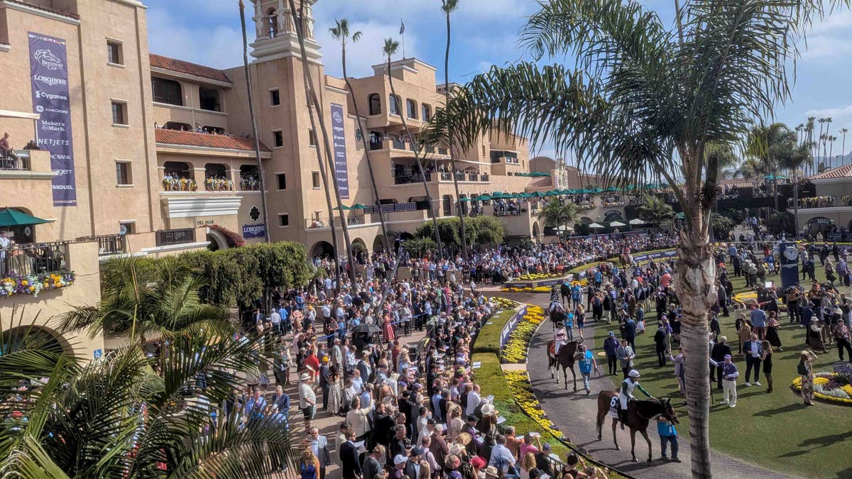 ‘A significant boost to San Diego’s economy’: 2025 Breeders’ Cup ...
