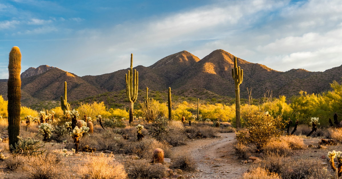 8 desert cities where you can retire on nothing but Social Security