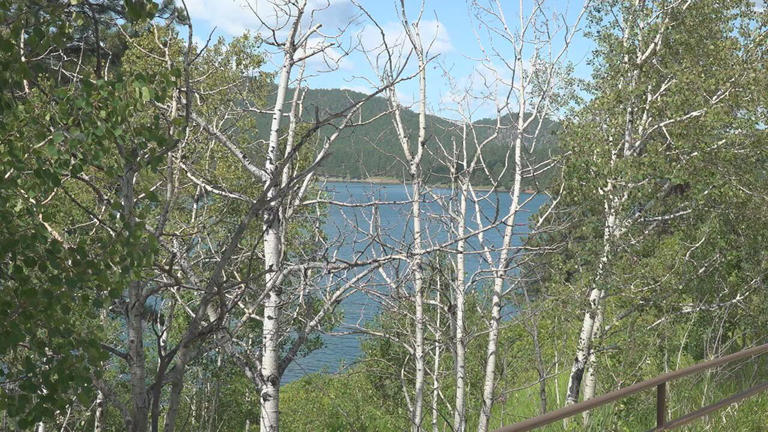Black Hills National Forest brings back Moon Walk series for 31st year